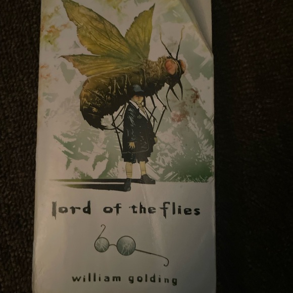 Other | Lord Of The Flies Book | Poshmark